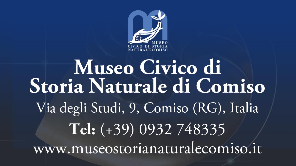 Home Page Museo civico di storia naturale di Comiso - Municipal Museum ...